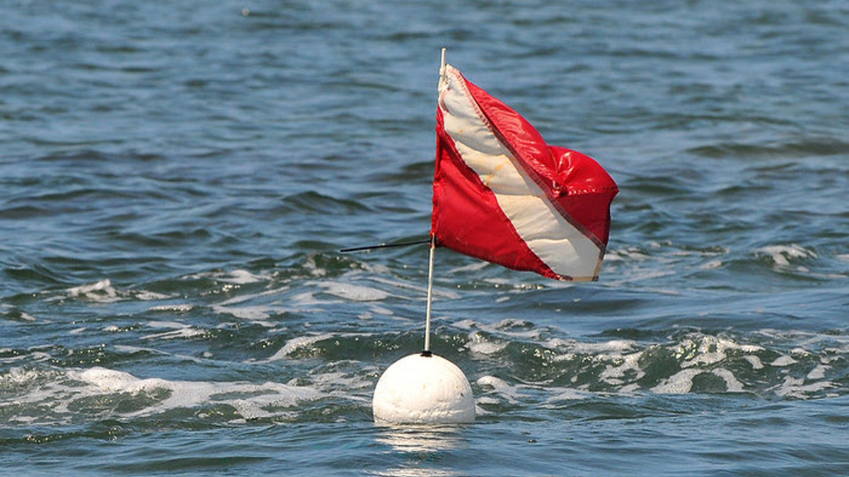 Stay Safe on the Water: FWC Encourages Awareness and Divers-Down Flag Compliance – Sebastian Daily