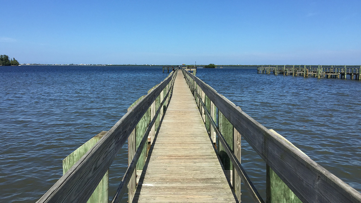 Indian River Lagoon and its Significance for Plants & Animals ...