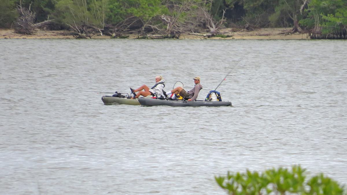 Indian River Lagoon and its Significance for Plants & Animals ...