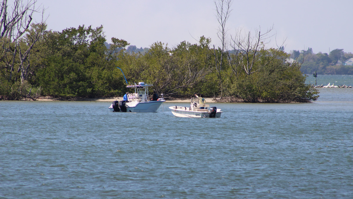 Sebastian Inlet Fishing Report and Tips – Sebastian Daily