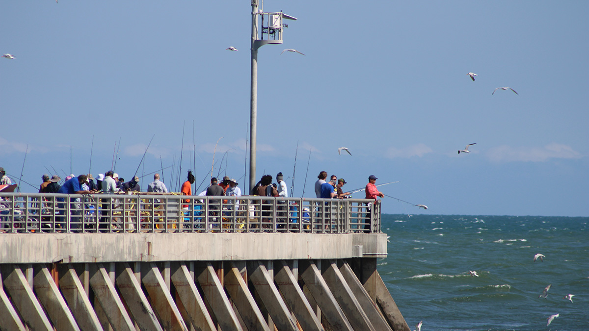 12-Year-Old Struck by Lightning at Sebastian Inlet Park – Sebastian Daily