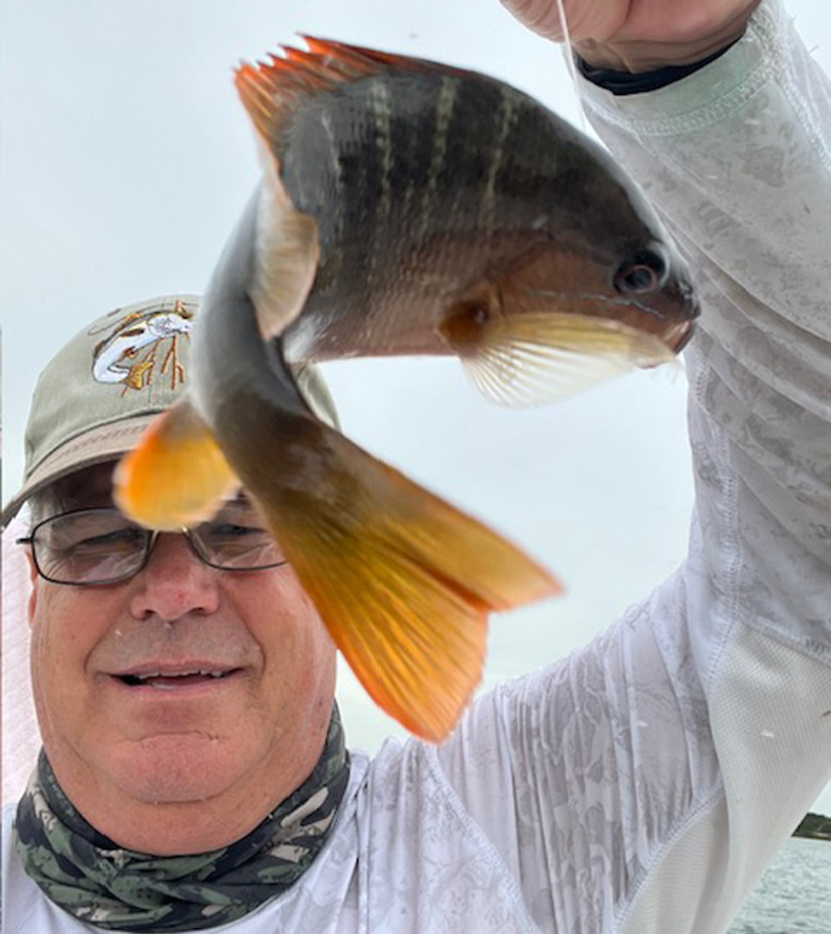 Mangrove Snappers, Snook Abundant; Anglers Say ‘Hot Fishing ...