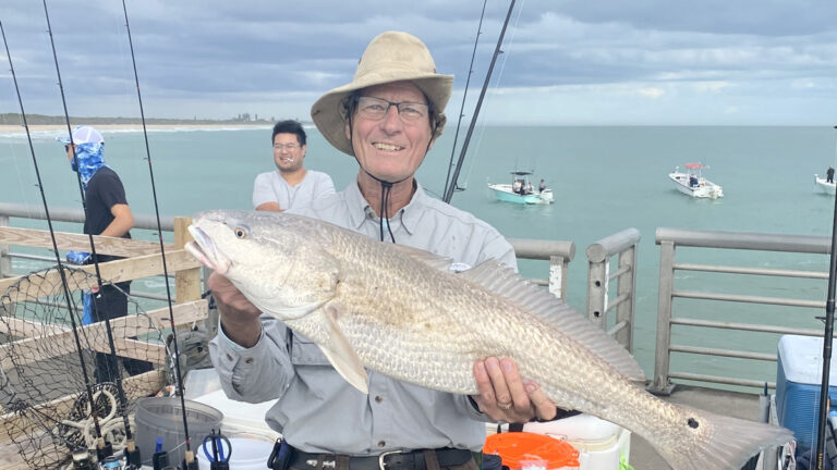 Sebastian Inlet Fishing Report and Tips – Sebastian Daily