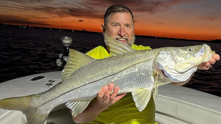 Sebastian Inlet Fishing Report and Tips – Sebastian Daily