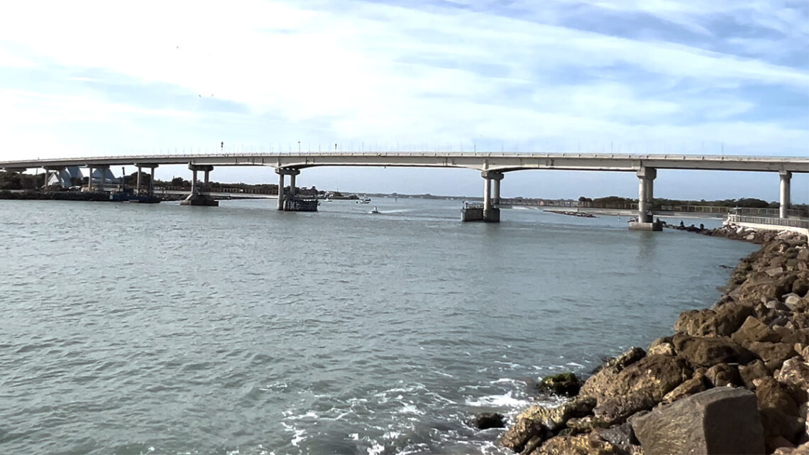 Sebastian Inlet Fishing Report and Tips – Sebastian Daily