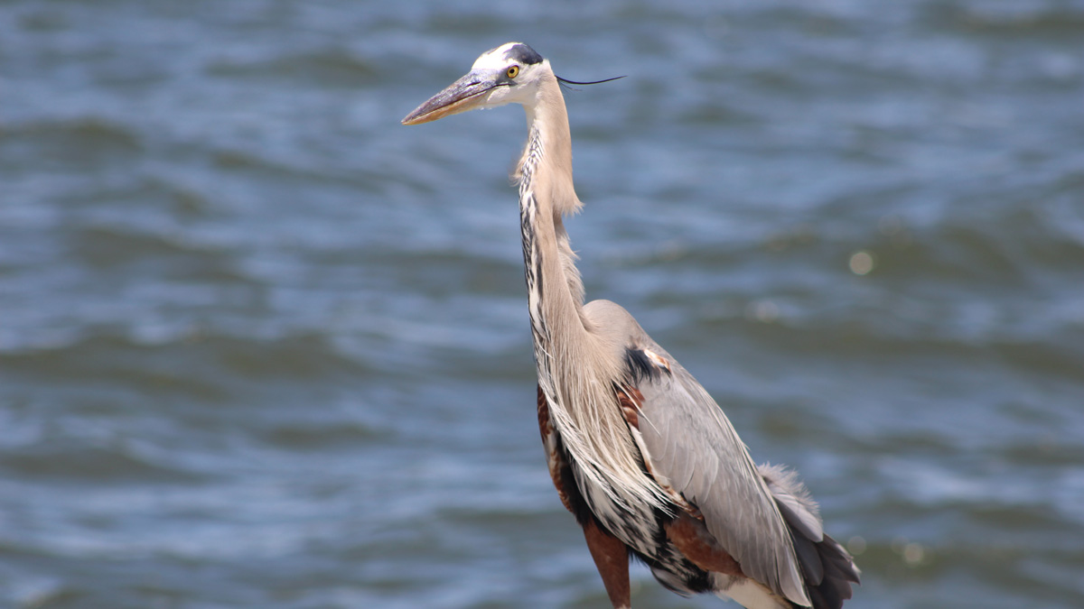 Tropics News and Weather in Sebastian, FL - Forecast, Hurricane Updates ...