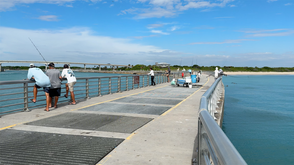 Sebastian Inlet Fishing Report and Tips – Sebastian Daily