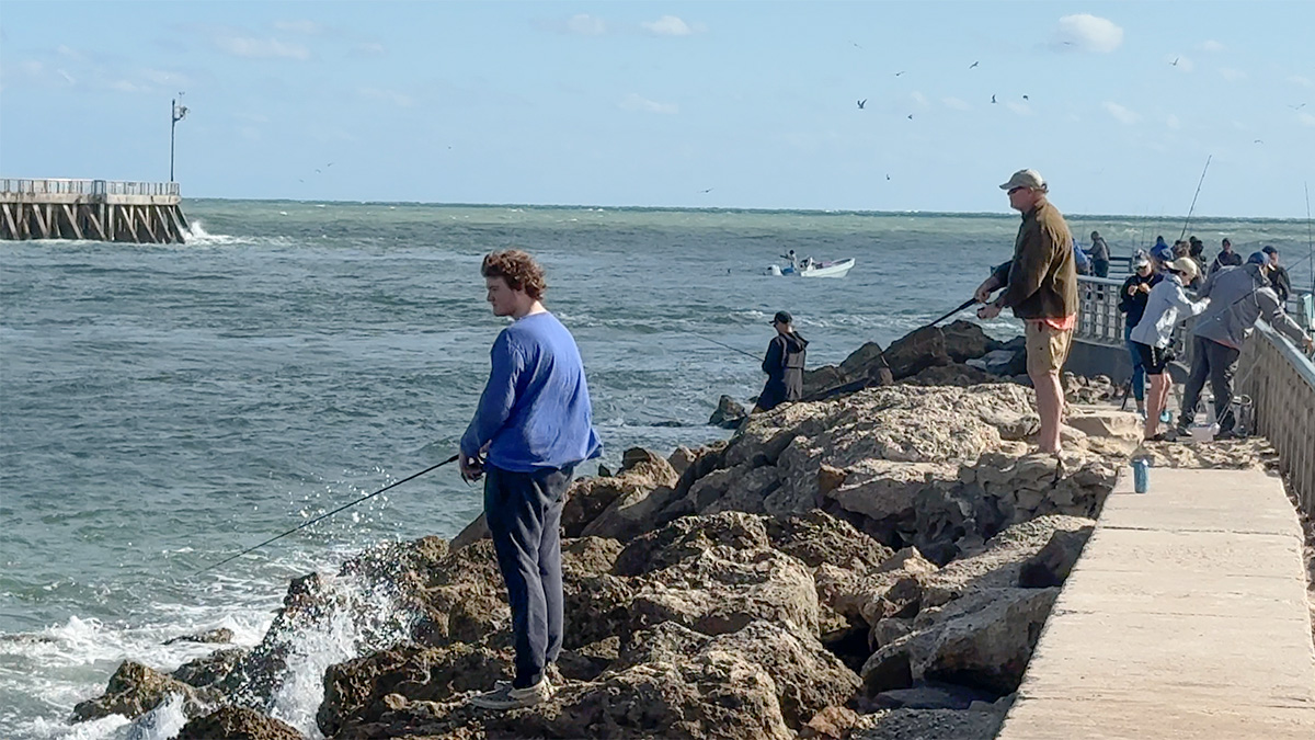 Sebastian Inlet Fishing Report and Tips – Sebastian Daily