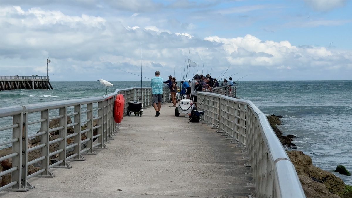 Sebastian Inlet Fishing Report and Tips – Sebastian Daily