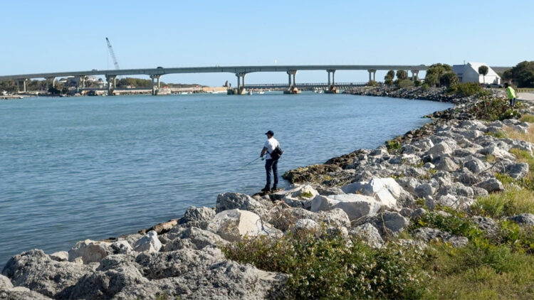 Sebastian Inlet Fishing Report and Tips – Sebastian Daily