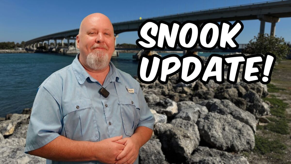 Recent Catches at the Inlet: Seatrout, Flounder, and Small Snook ...