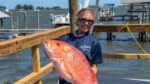 Sebastian Inlet Fishing Report and Tips – Sebastian Daily