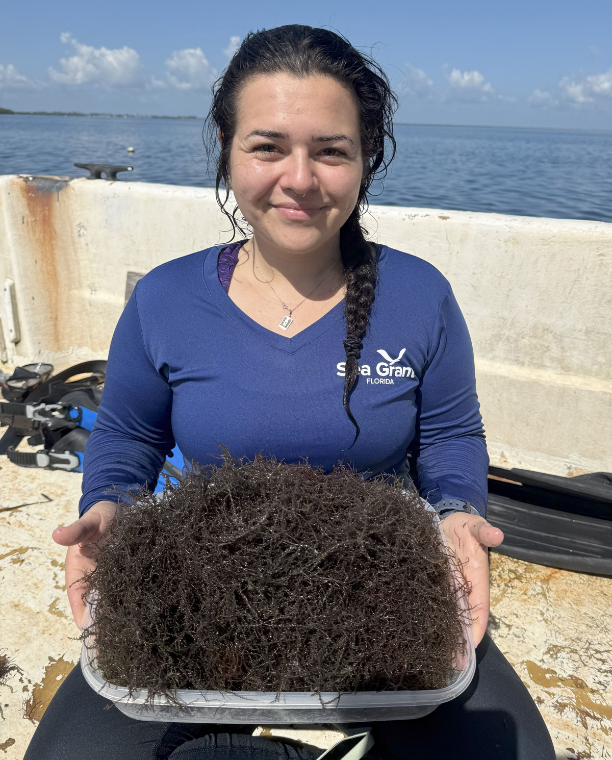 Florida Researchers Explore Seaweed as Potential New Crop for ...
