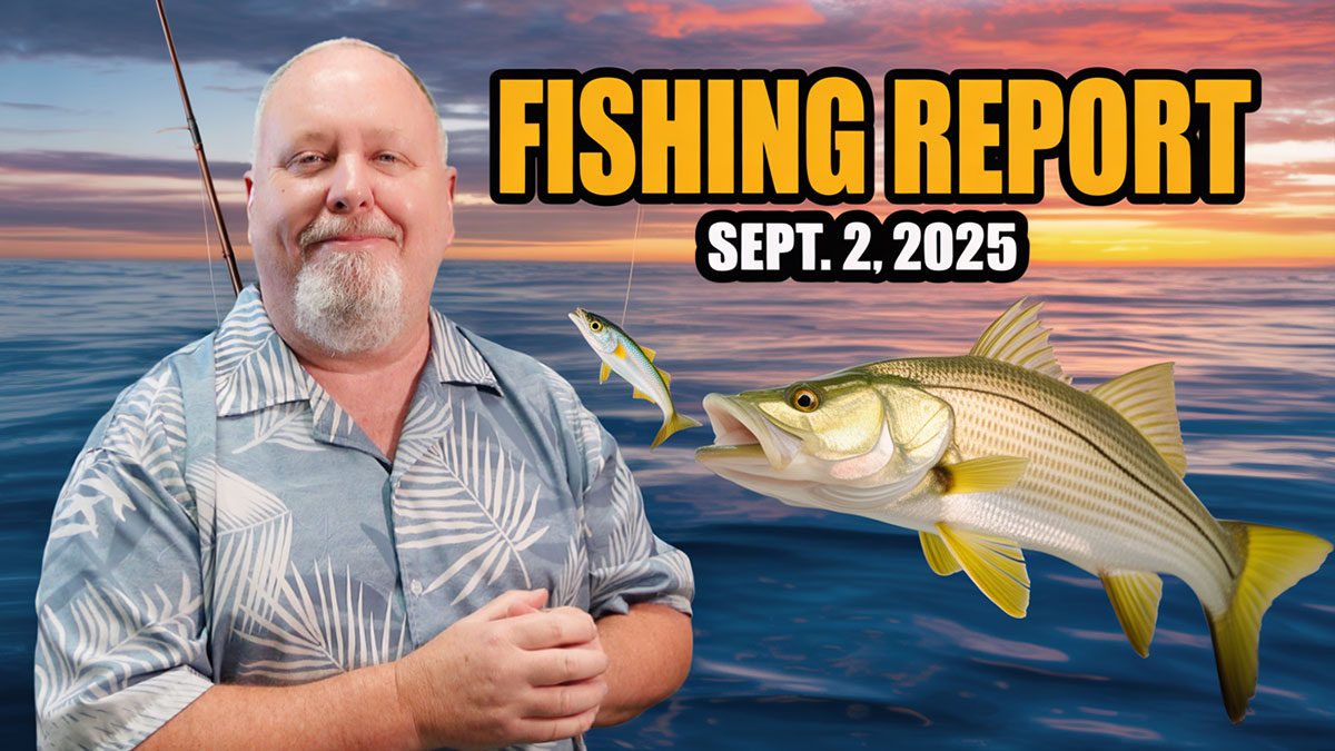 Recent Catches at the Inlet: Seatrout, Flounder, and Small Snook ...