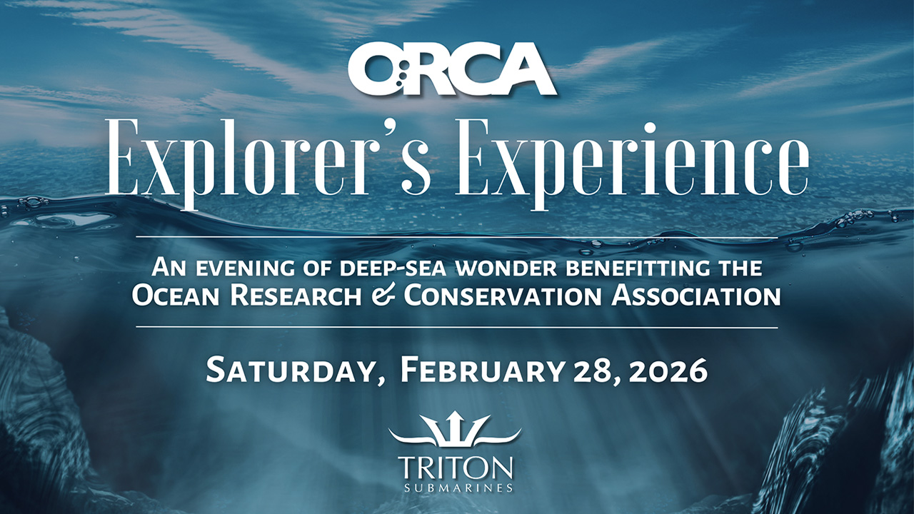 Ocean Research Group to Host Fundraiser at Triton Submarines Amid ...