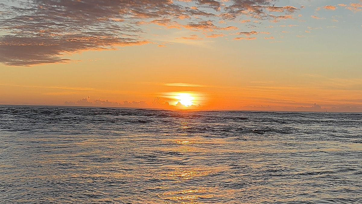 Wind Chill Advisory Issued for Parts of Eastern Florida as Temperatures ...