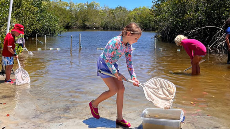 Local Summer Camps Offer Variety of Hands-On Learning for Indian River ...